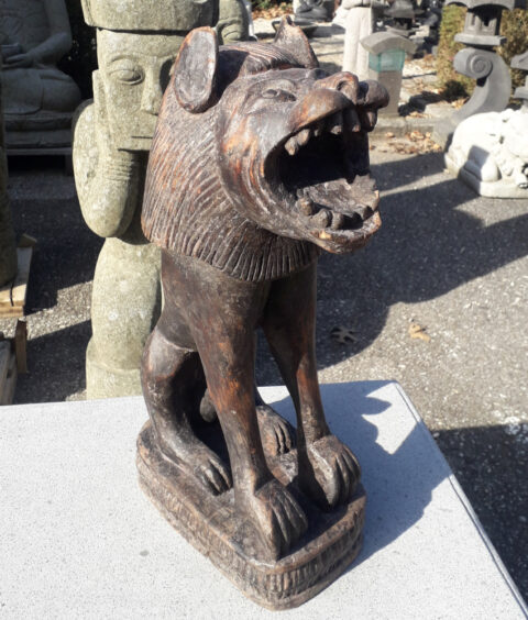 Alter Löwe II | weiliwohn